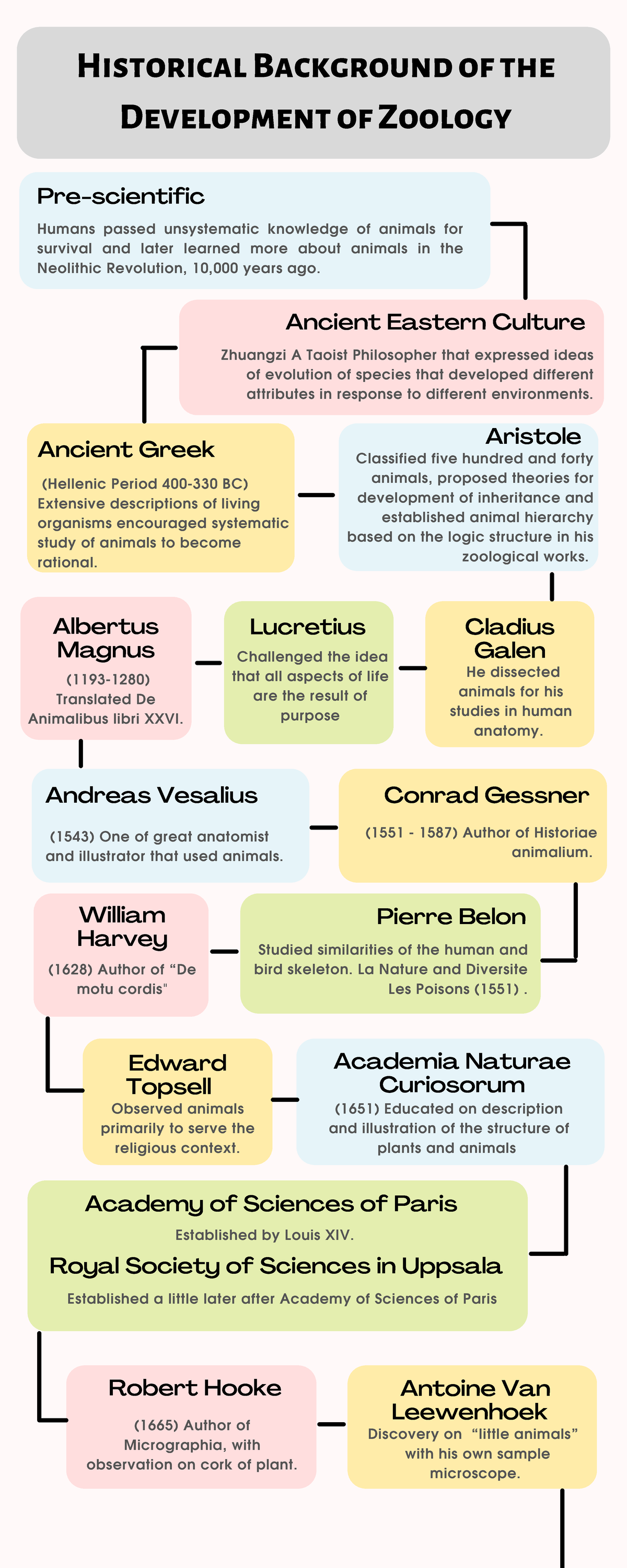 Zoology LEC M1 - L1 Check-IN Activity - (Hellenic Period 400-330 BC ...