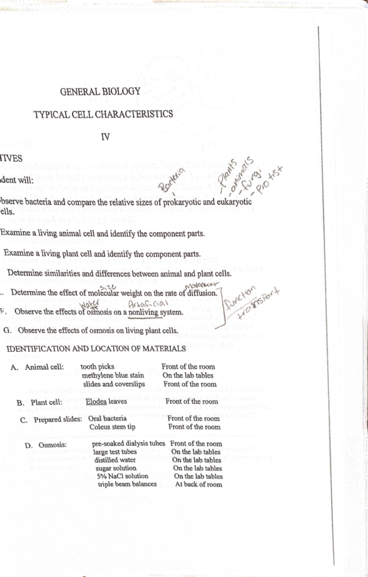 Lab notes 4 p1 - Mark Nolen - GENERAL BIOLOGY TYPICAL CELL ...