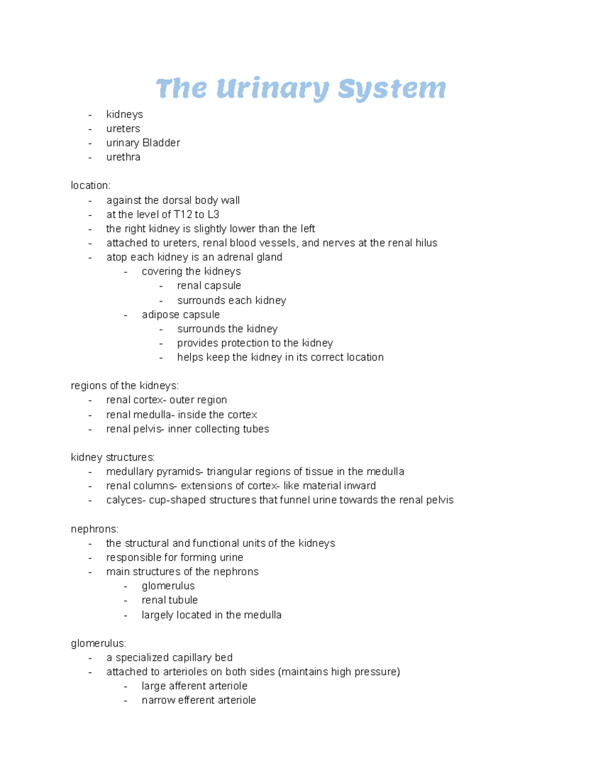 Anatomy- Urinary System - The Urinary System kidneys ureters urinary ...