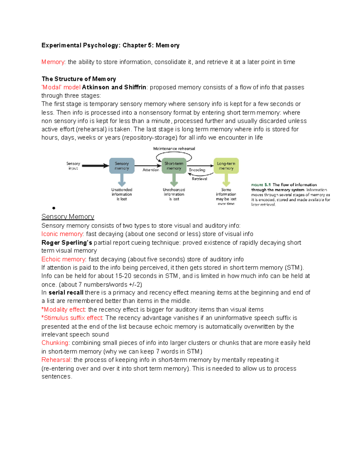 Chapter 5 - Memory - Experimental Psychology: Chapter 5: Memory Memory ...
