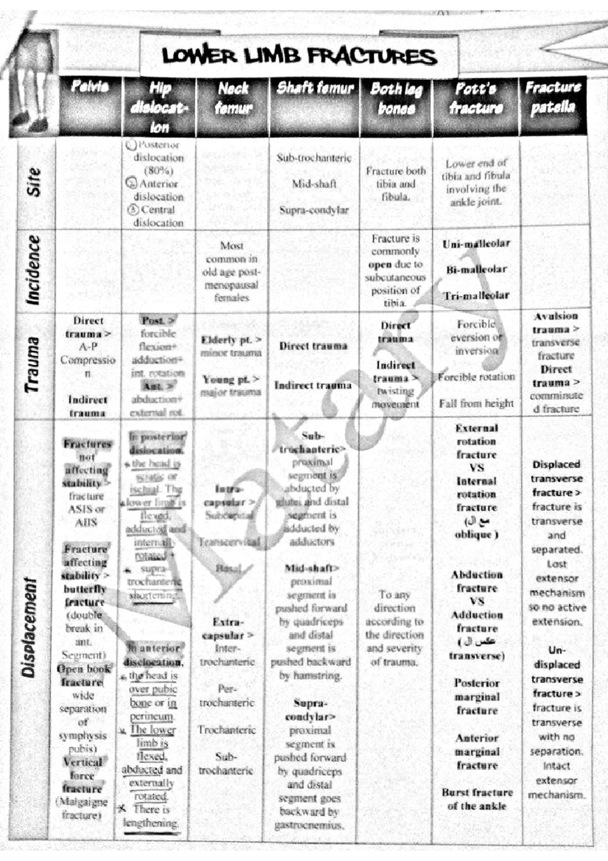 Dr matary Ortho tables - physiology pathology - Studocu