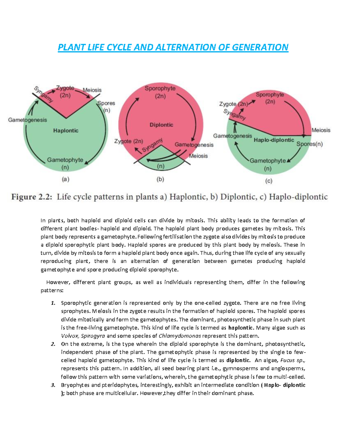 Plant life cycle and alternation of generation - PLANT LIFE CYCLE AND ...