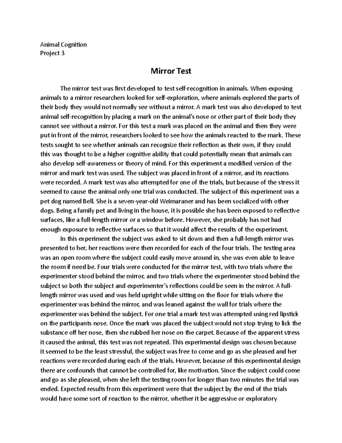 Animal cog project 3 - Animal Cognition Project 3 Mirror Test The ...