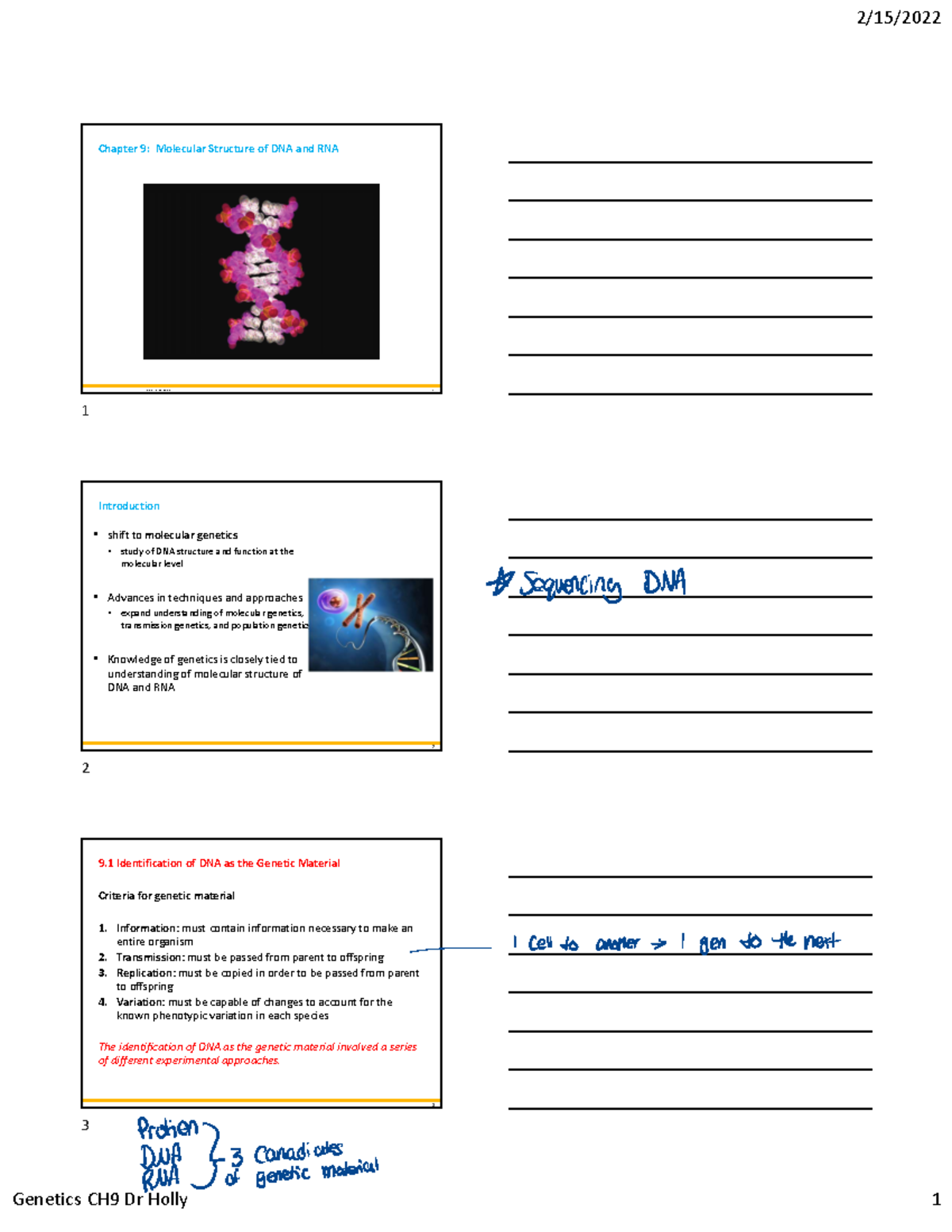 CH9 DNA RNA Structure - Dr. Little - 1 Chapter 9: Molecular Structure ...