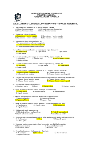 Segundo examen semanal de neuroanatomía Revisión del intento - Página ...