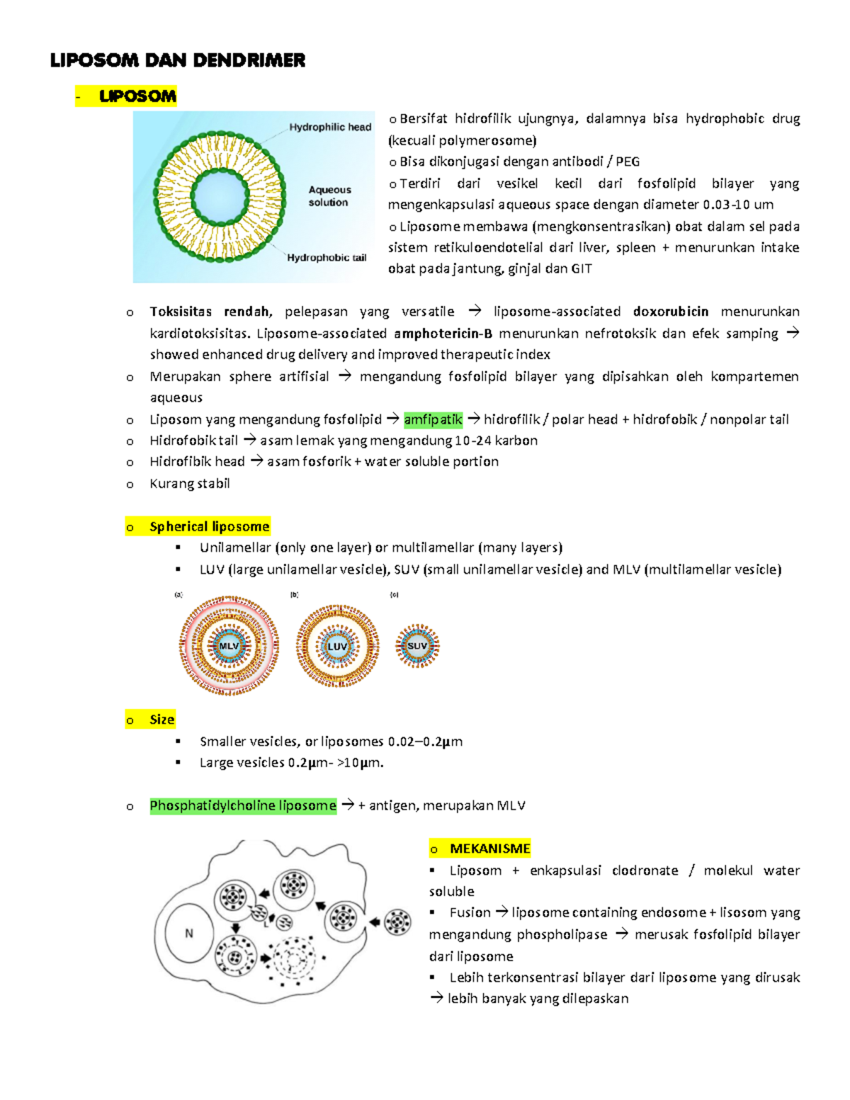 Liposom - Liposome-associated amphotericin-B menurunkan nefrotoksik dan ...