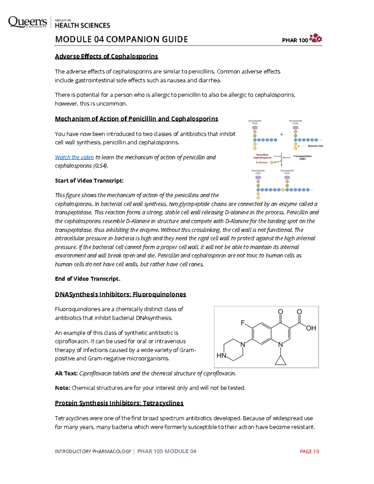 Module 4 - MODULE 04 COMPANION GUIDE PHAR 100 INTRODUCTORY PHARMACOLOGY ...