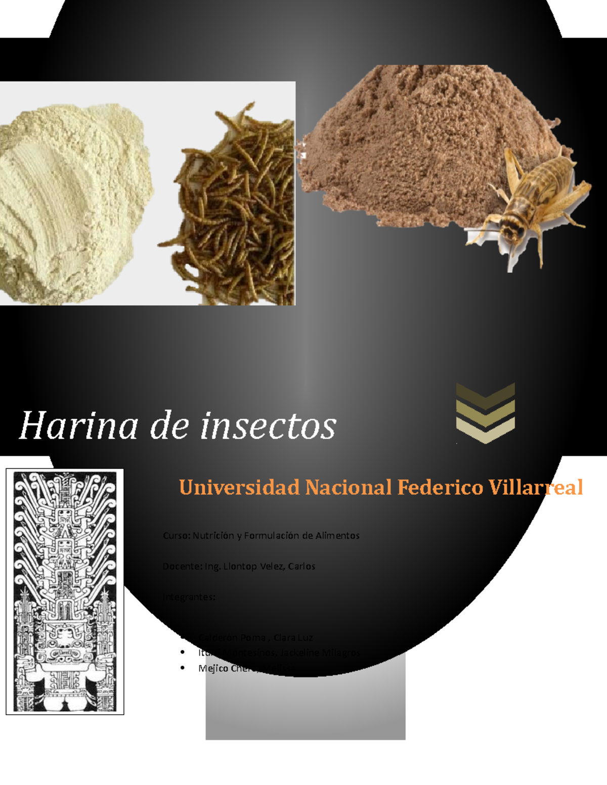 Harina insectos y requerimiento proteico - Harina de insectos ...