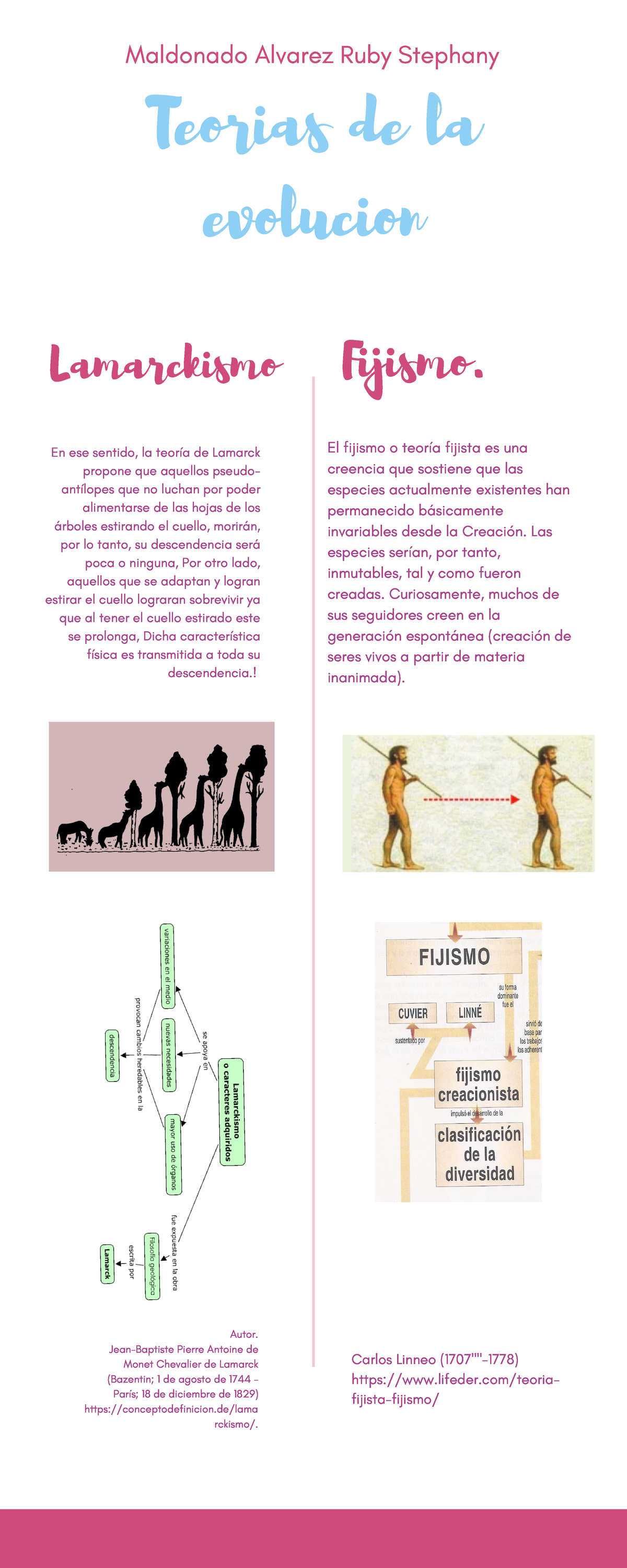 Teorias Evolutivas - Maldonado Alvarez Ruby Stephany Teorias de la ...