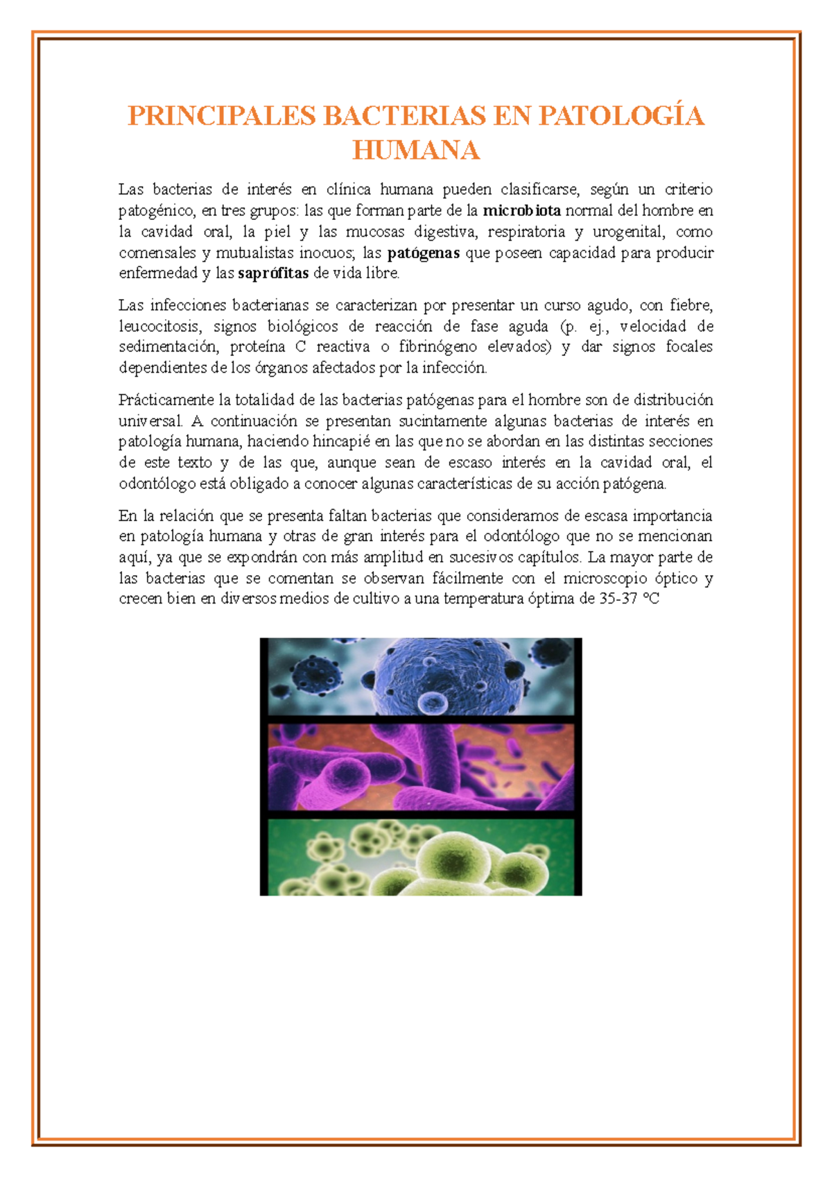 Principales Bacterias EN Patología Humana - PRINCIPALES BACTERIAS EN ...