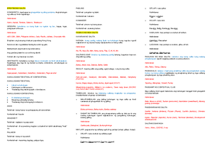 BOW- Multigrade- Classroom - Conti, Venus Patema T. Beed3 EEd De Gracia ...