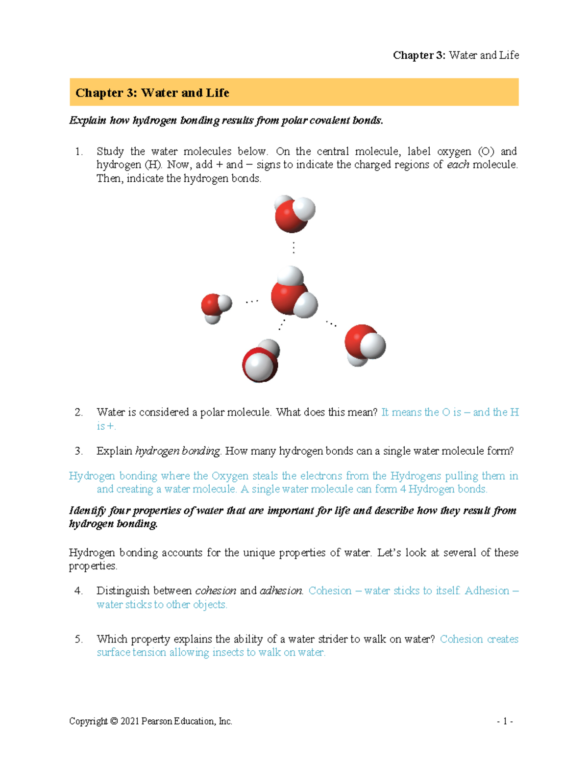 Water Reading Guide - Chapter 3: Water and Life Explain how hydrogen ...