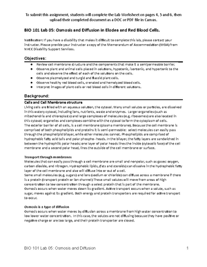 BIO 101 Lab 01, Scientific Method (4 data tables for lab groups of 4 ...