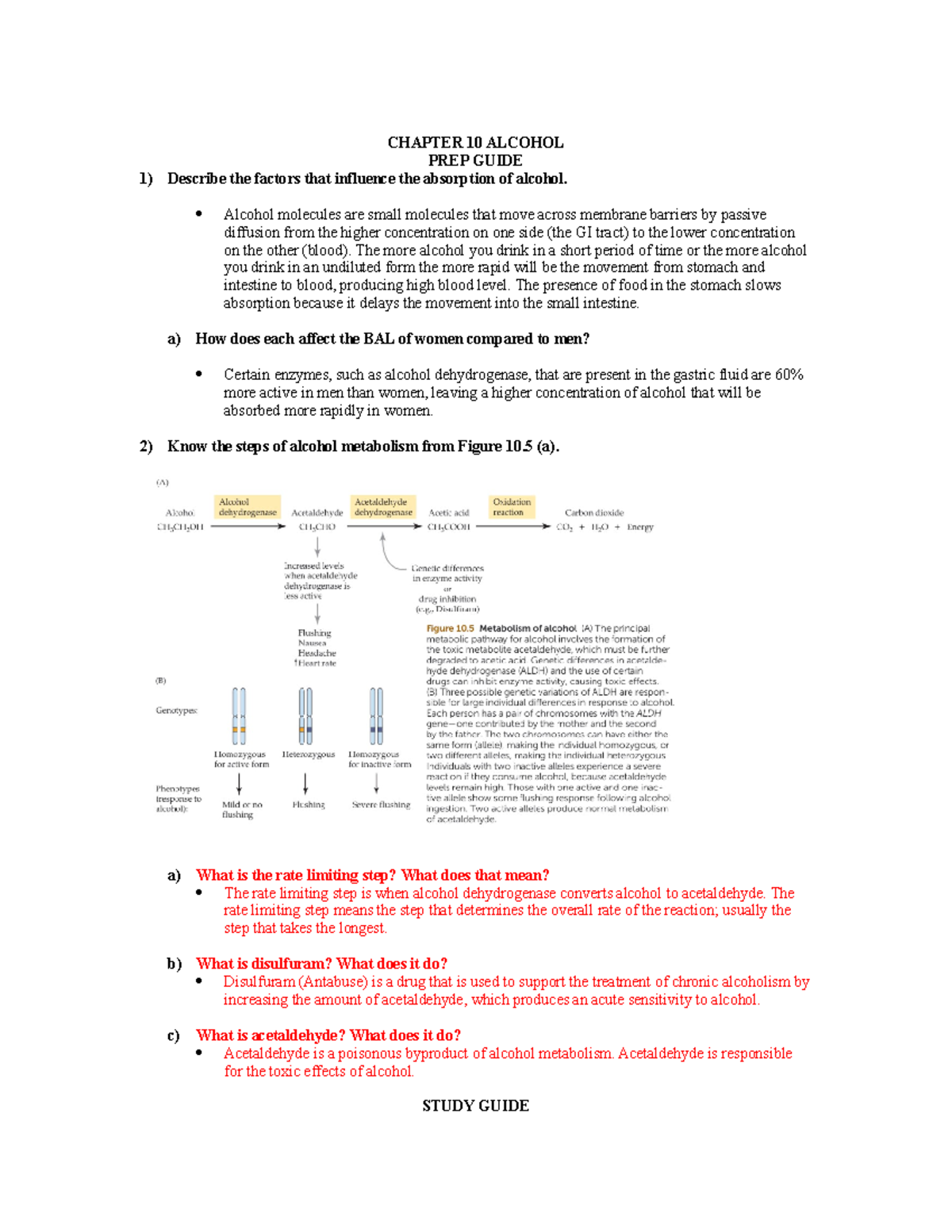 Drugs, Brain and Behavior Ch. 10 Study Guide - CHAPTER 10 ALCOHOL PREP ...