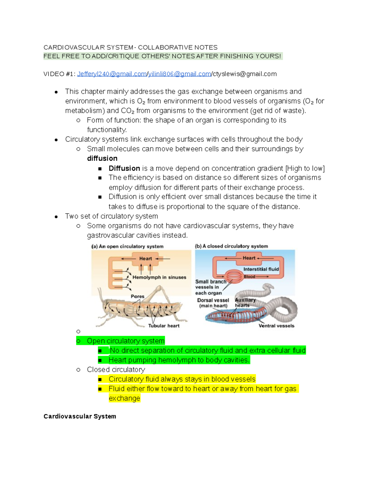 Cardiovascular System Collaborative Notes - CARDIOVASCULAR SYSTEM ...