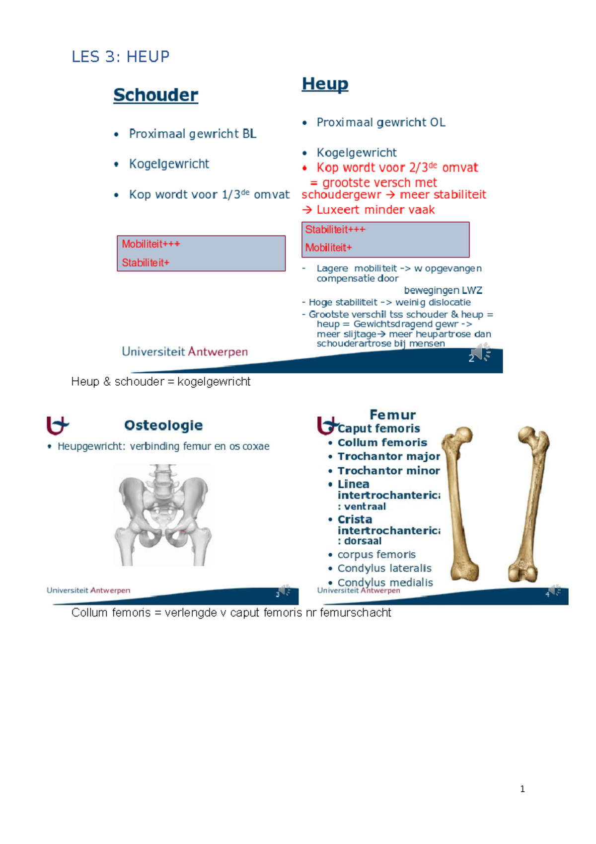 Les 3 handouts heup - ppt + volledige notities, handig af te drukken ...