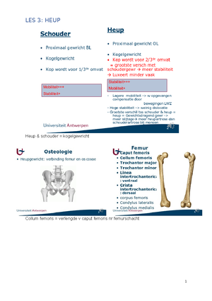 Functionele-Anatomie - Anatomie 2 - UAntwerpen - Studocu
