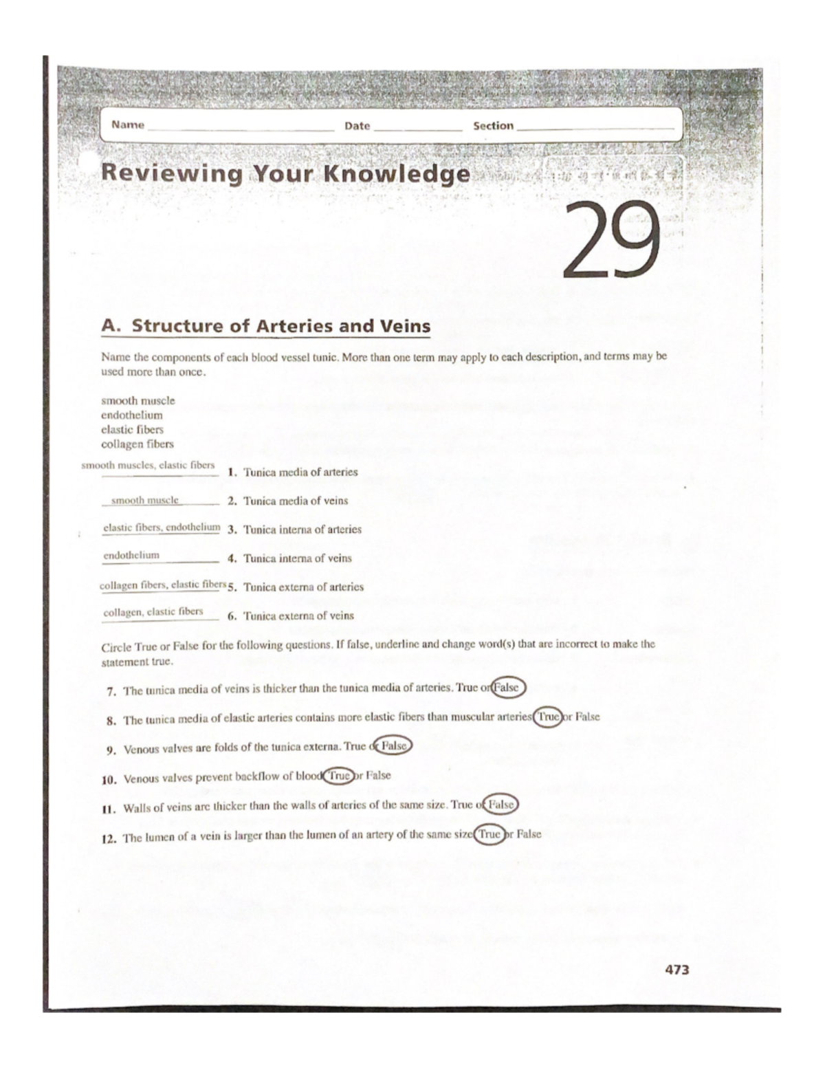 Reviewing Your Knowledge 3 - BIO 201 - Human Anatomy & Physiol Lab I ...