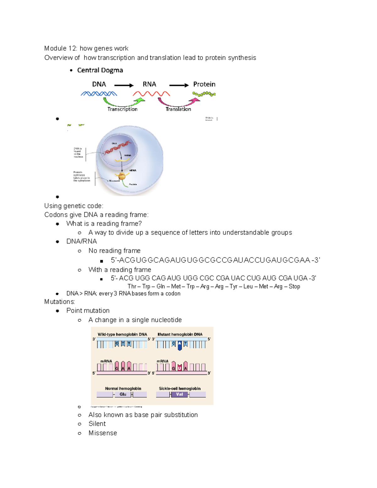 Module 12 how genes work - Module 12: how genes work Overview of how ...