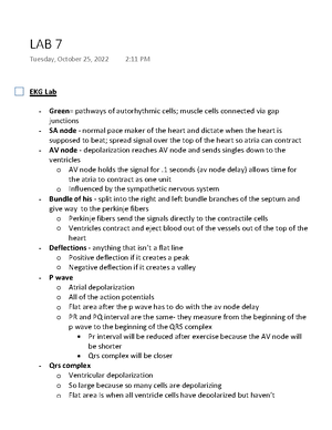 [Solved] difference between anaerobic and aerobic - Exercise Physiology ...