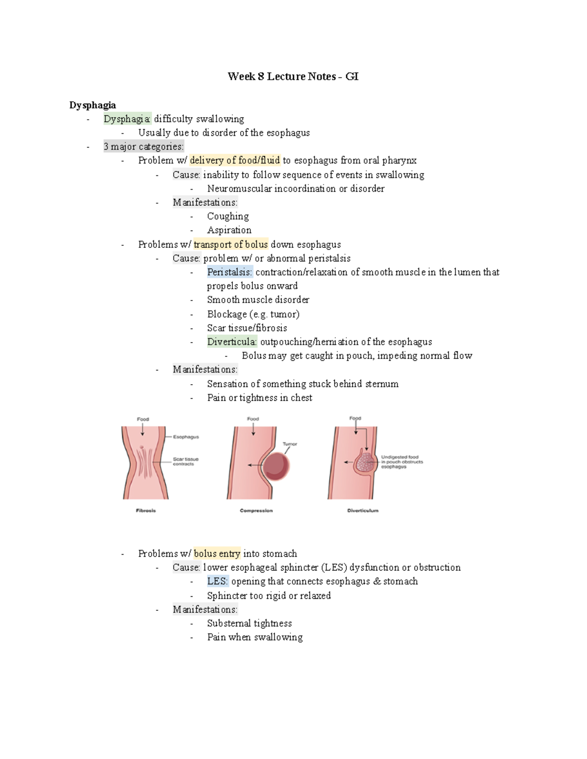 Wk8 Notes GI - Week 8 Lecture Notes - GI Dysphagia - Dysphagia ...