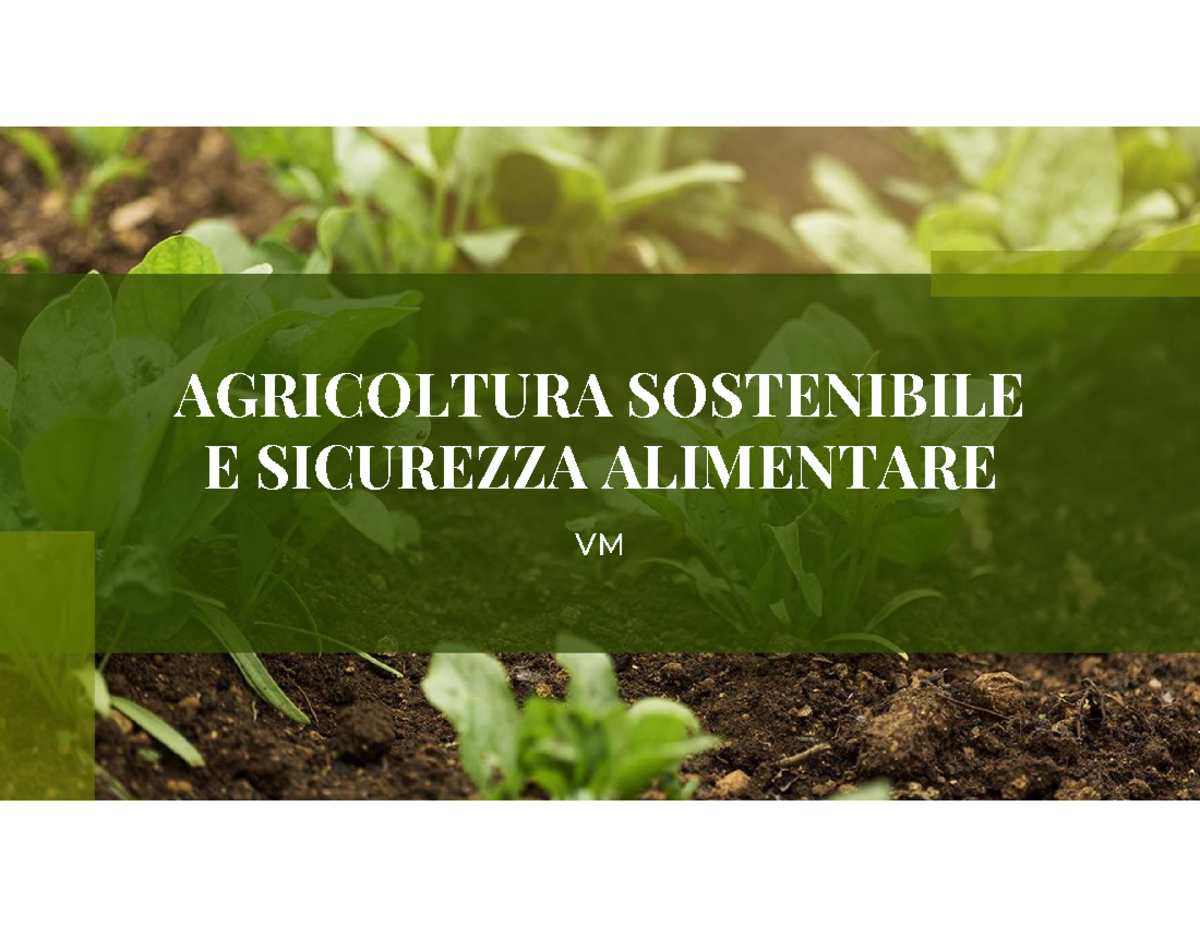 Agricoltura sostenibile - AGRICOLTURA SOSTENIBILE E SICUREZZA ALIMENTARE VM 01. Agricoltura ...