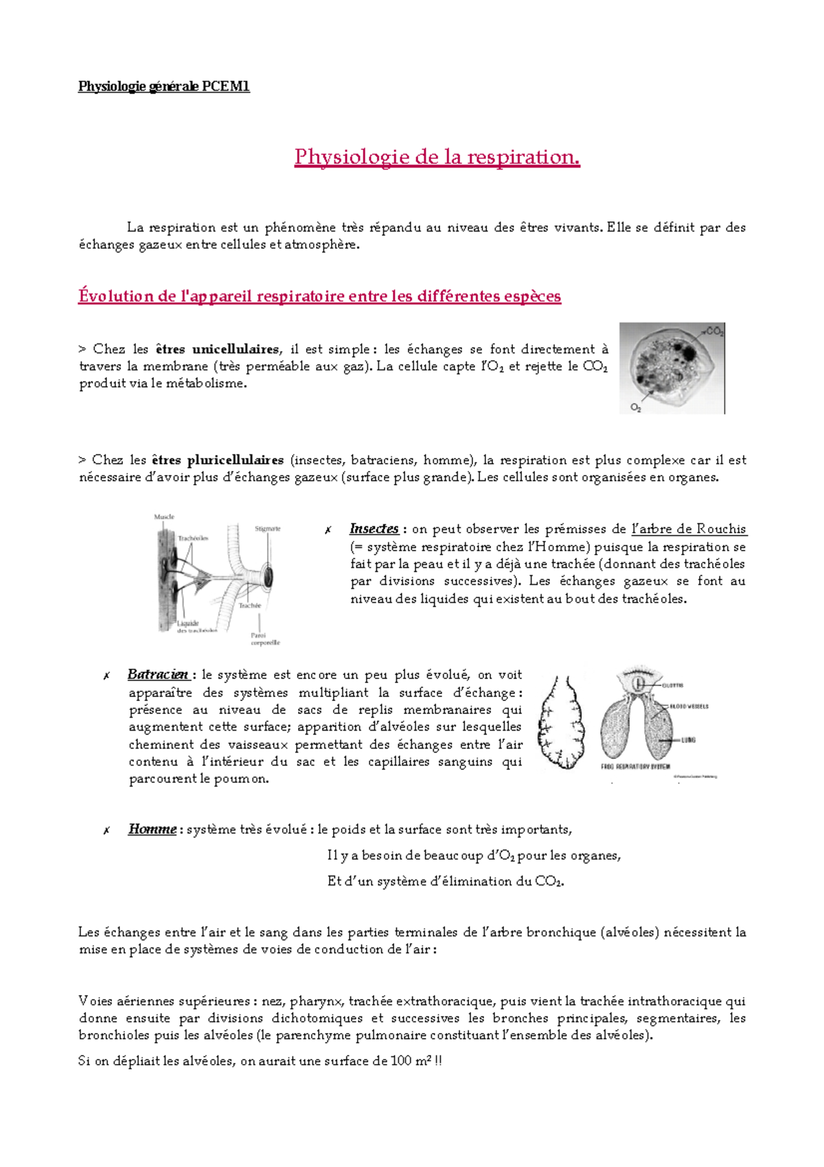 Physiologie de la respiration pcem 1 - Physiologie générale PCEM ...