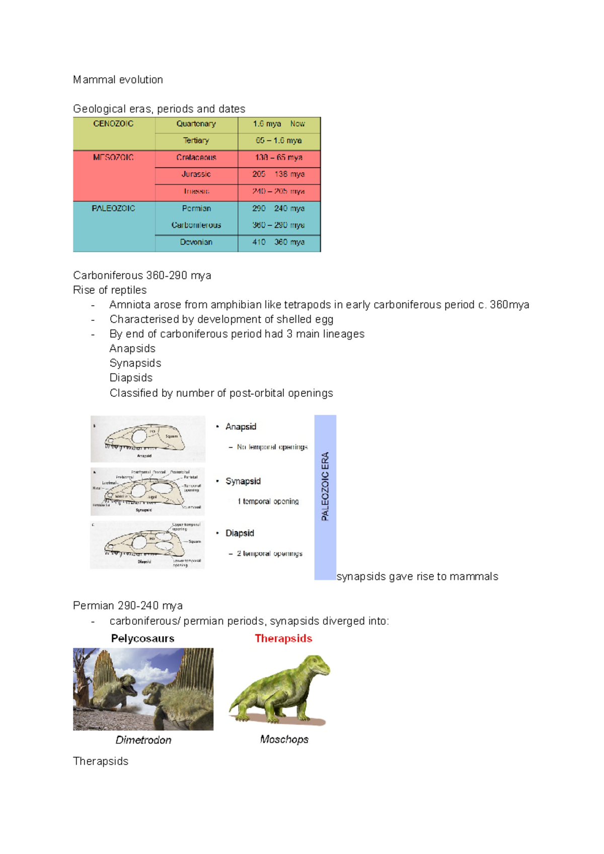 2. evolutionary history and diversity - Mammal evolution Geological ...