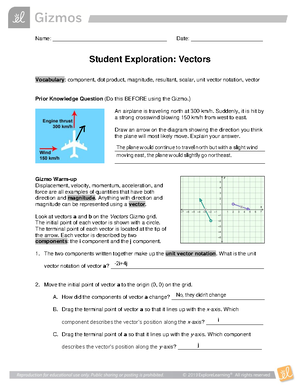 Gizmo: Human Evolution - Student Exploration: Human Evolution Skull ...
