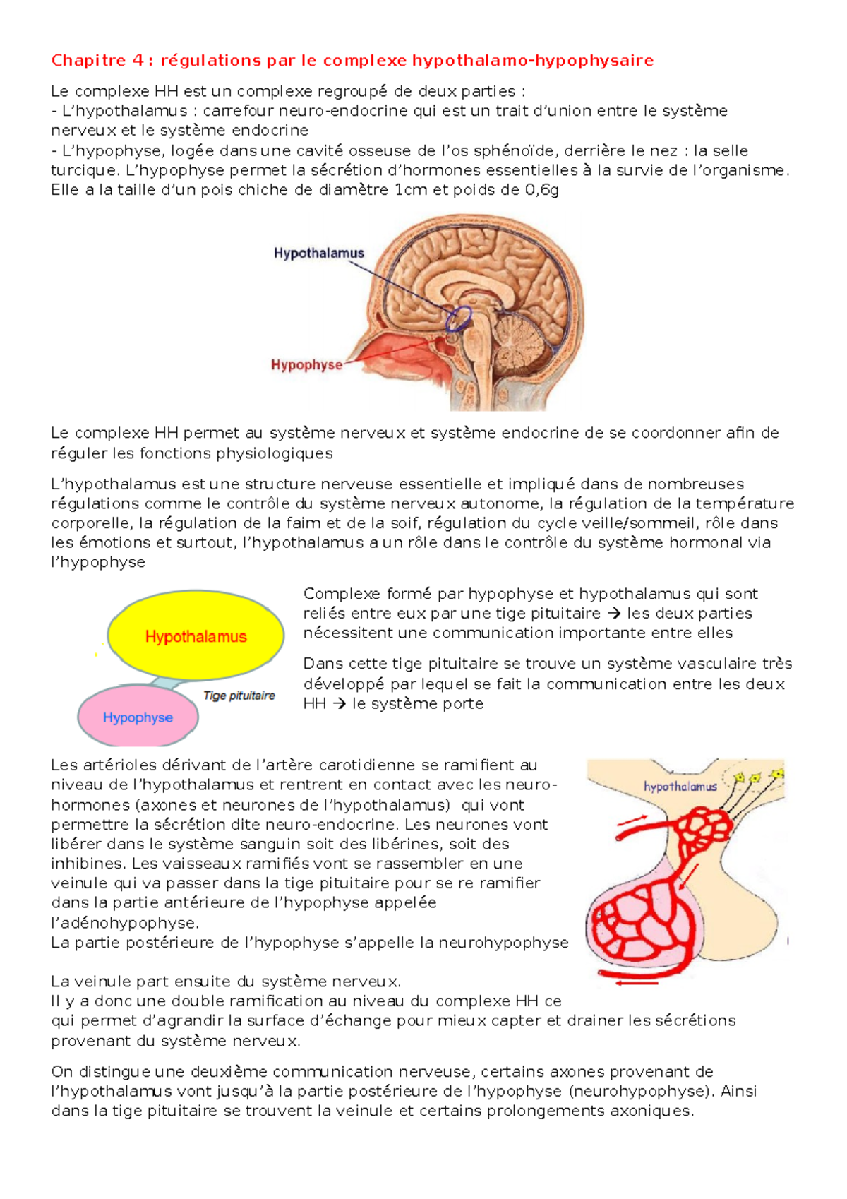 Complexe hypothalamo hypophysaire - Chapitre 4 : régulations par le complexe - Studocu