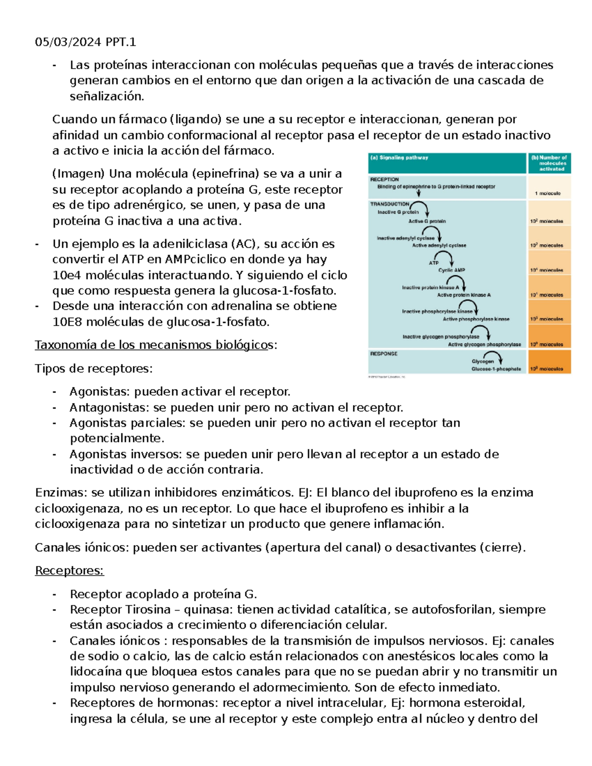 Clase 1 intro - 05/03/2024 PPT. Las proteínas interaccionan con moléculas pequeñas que a través ...