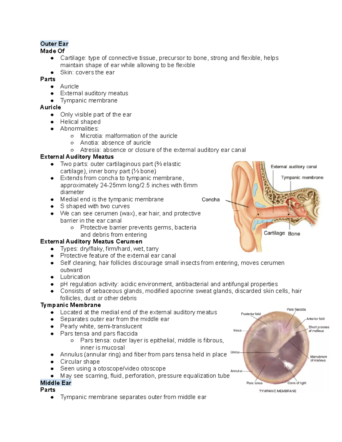 Hearing Science Final EXAM - Outer Ear Made Of Cartilage: type of ...