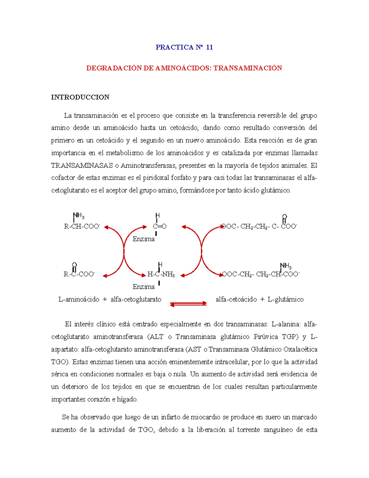 Práctica 11 Transaminación - PRACTICA No 11 DEGRADACIÓN DE AMINOÁCIDOS ...