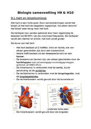 Samenvatting werking hart - 1. Hoe ziet het hart eruit? Het hart ligt ...
