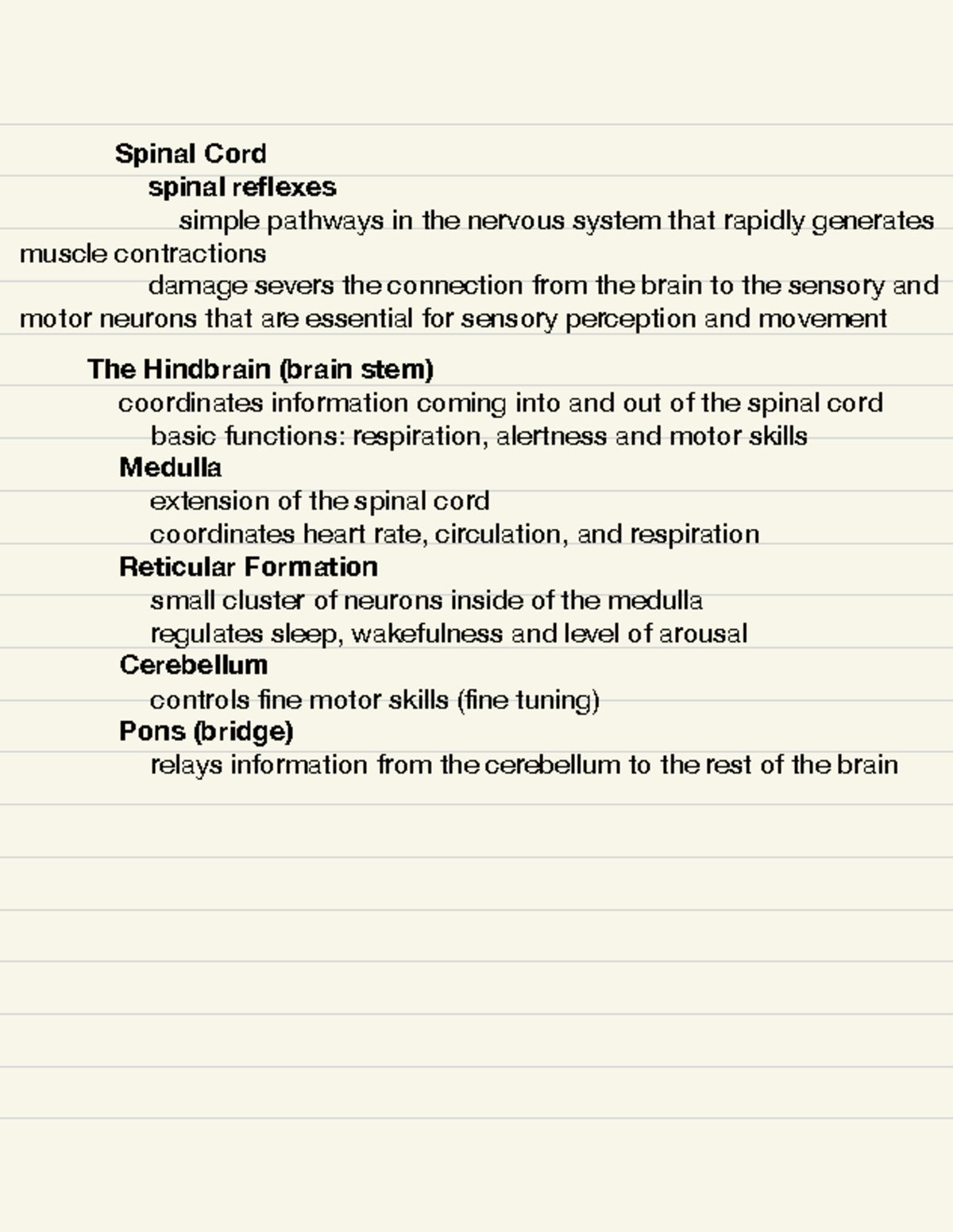 Introduction to Psychology Chapter 3 - Spinal Cord spinal reflexes ...