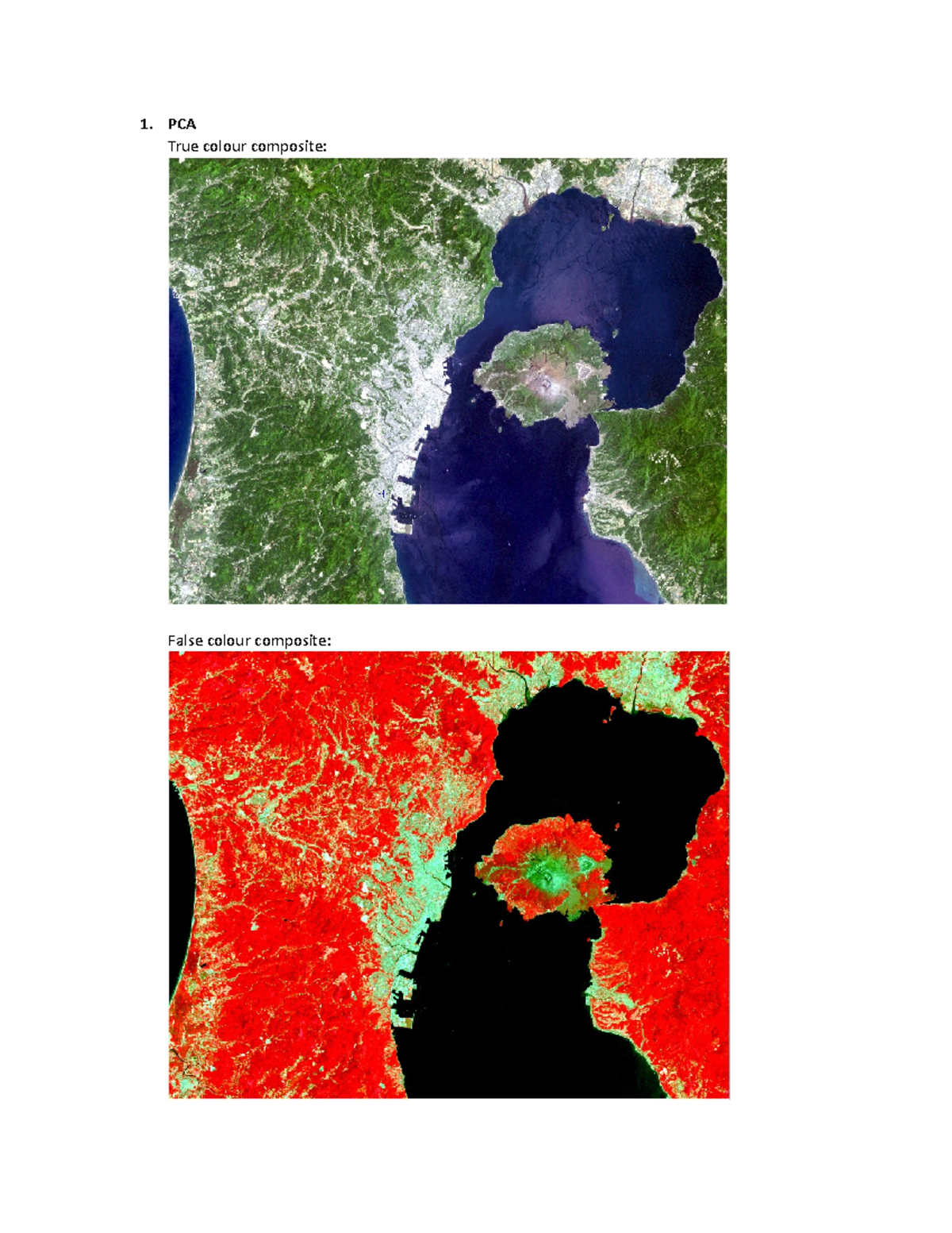 Minor Lab Practical 2 - 1. PCA True colour composite: False colour ...