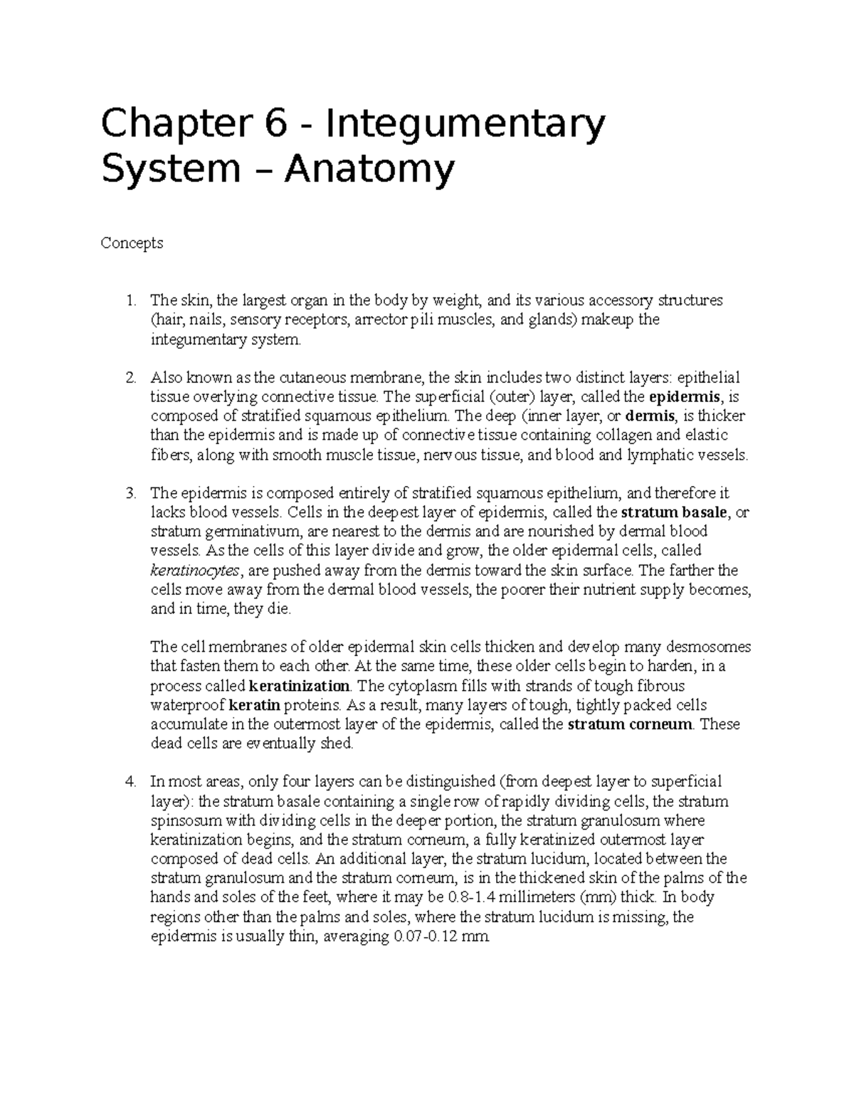 Chapter 6 Anatomy Concepts - Chapter 6 - Integumentary System – Anatomy ...