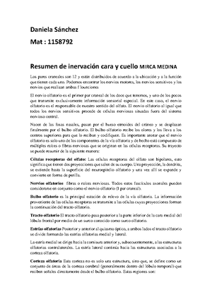Colon, recto y ano - intestino grueso - Colon, recto y ano Embriología ...