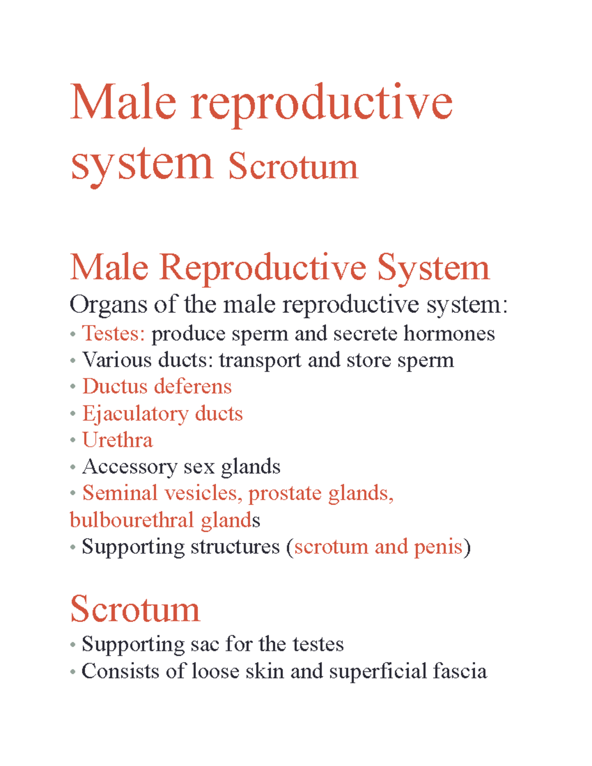 Reproductive Male - 6 - Male reproductive system Scrotum Male ...