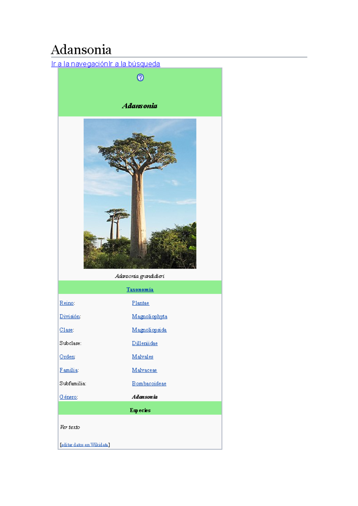 Adansonia - sd qwdcwa awecawdsdcdasd asda asdawd asd Asd - Adansonia Ir ...