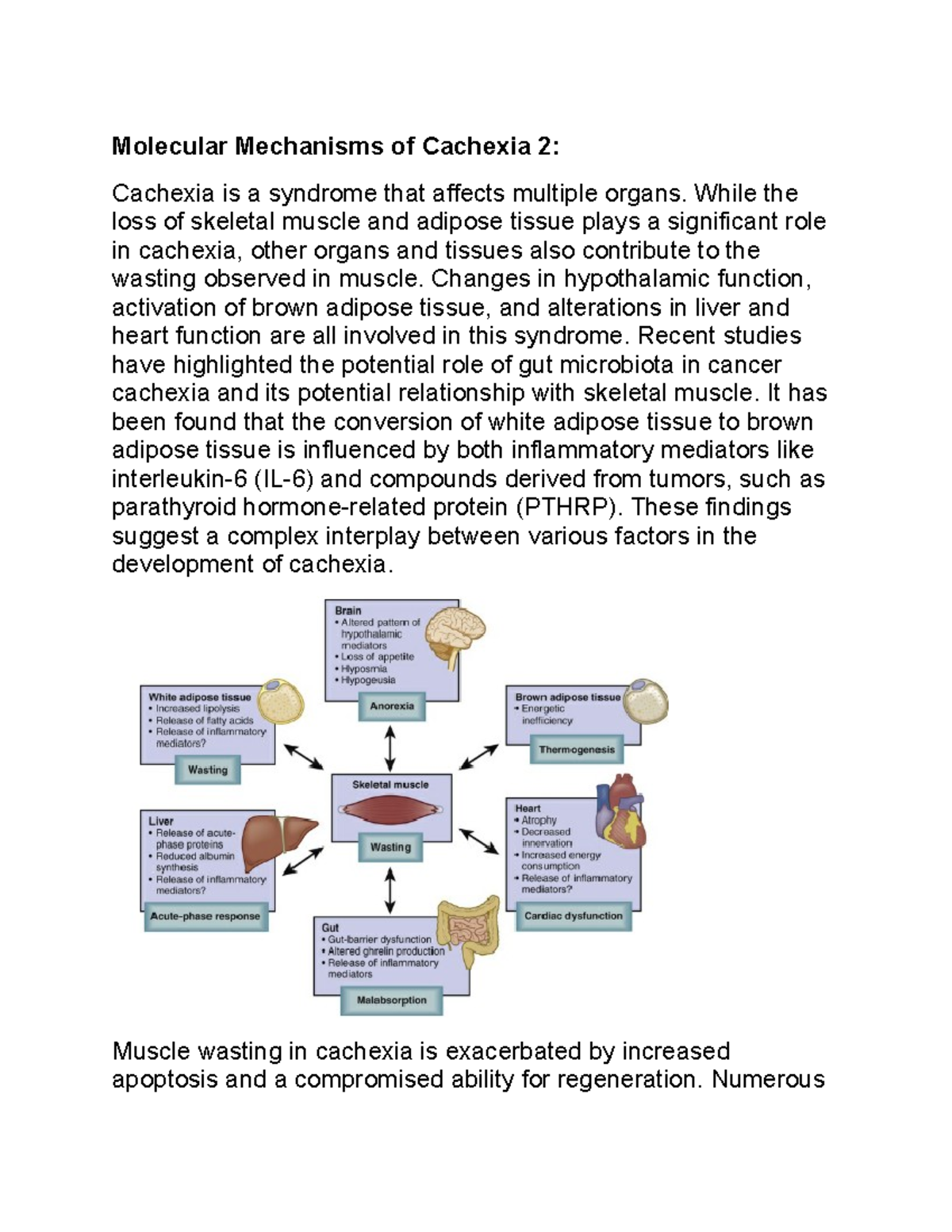 Molecular Mechanisms of Cachexia 2 - While the loss of skeletal muscle ...