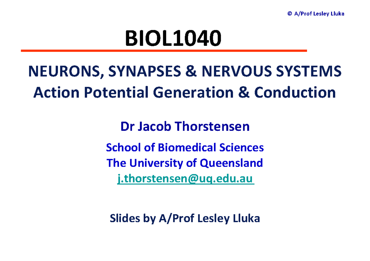 Week 4 pt 2 Lecture Book - NEURONS, SYNAPSES & NERVOUS SYSTEMS Action Potential Generation ...
