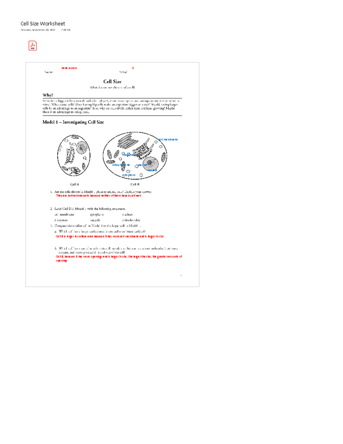 Cell Size Work - Cell Size Work - Cell Size Worksheet (Not just because ...