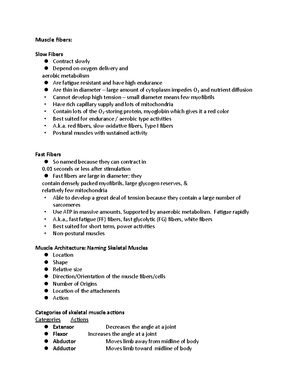 Anatomy-bones - notes about bones, bone structures - Terms (examples) u ...