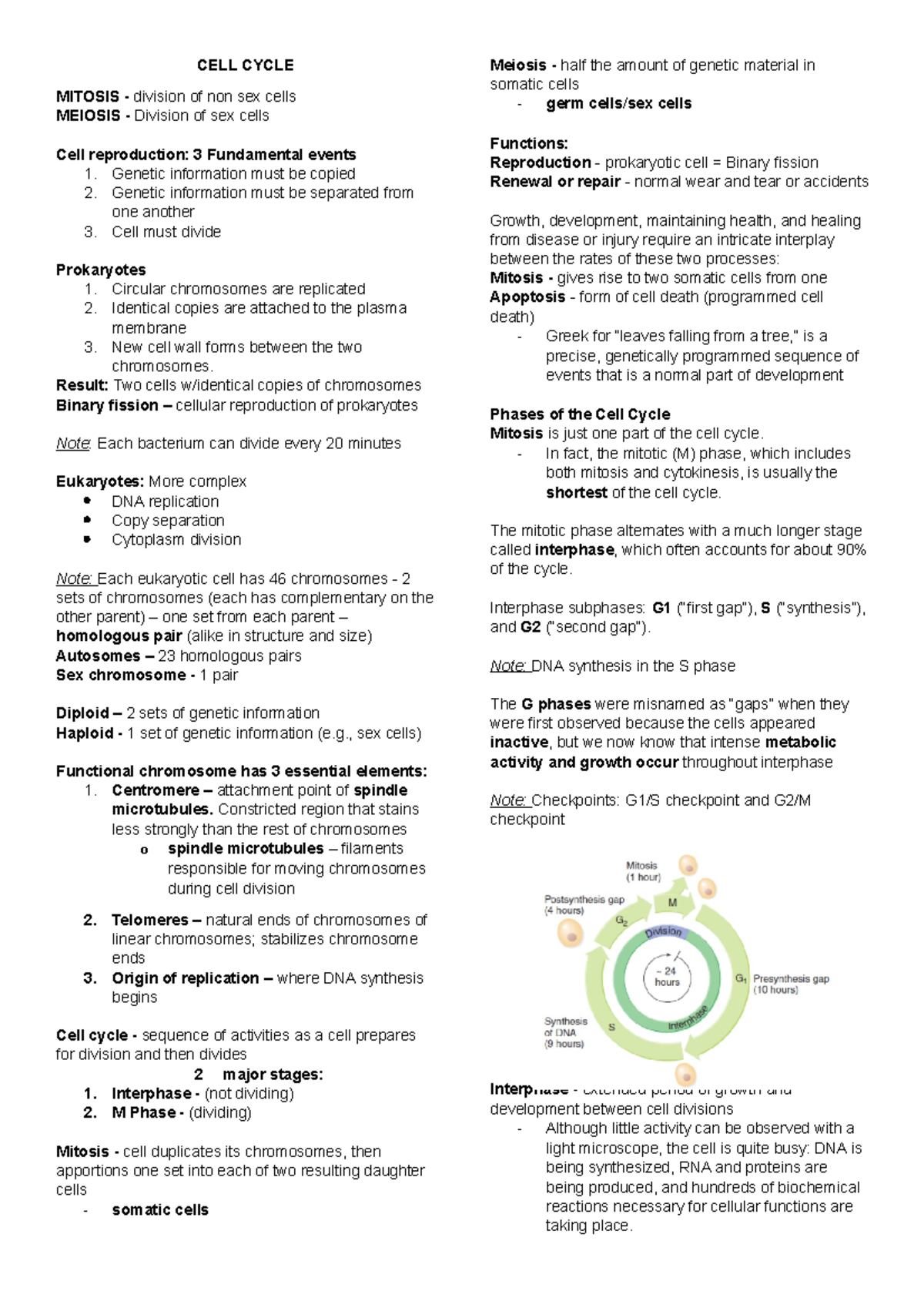 Cell Cycle Trans Cell Cycle Mitosis Division Of Non Sex Cells Meiosis Division Of Sex