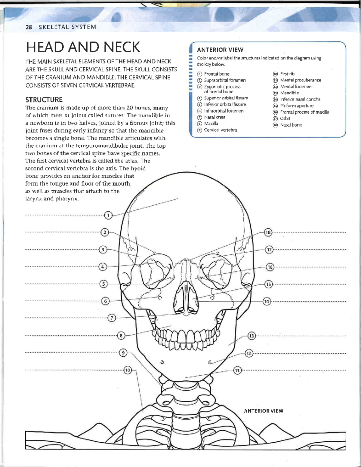 Coloring book - AHSL 3422 - Studocu