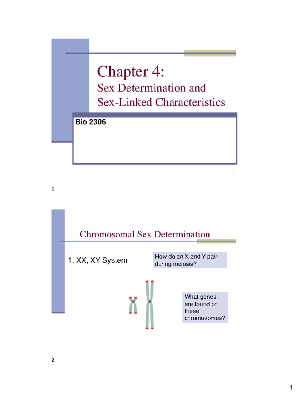 Chap 04 PPT student - In class discussion notes - 1 Chapter 4: Sex ...