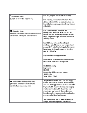 Cp2 - careplan - CLINICAL NURSING PROCESS FORM : SEATTLE CENTRAL ...