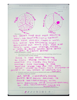 BIOL 207 Laboratory Axial Skeleton Assignment - Laboratory 4: Axial ...