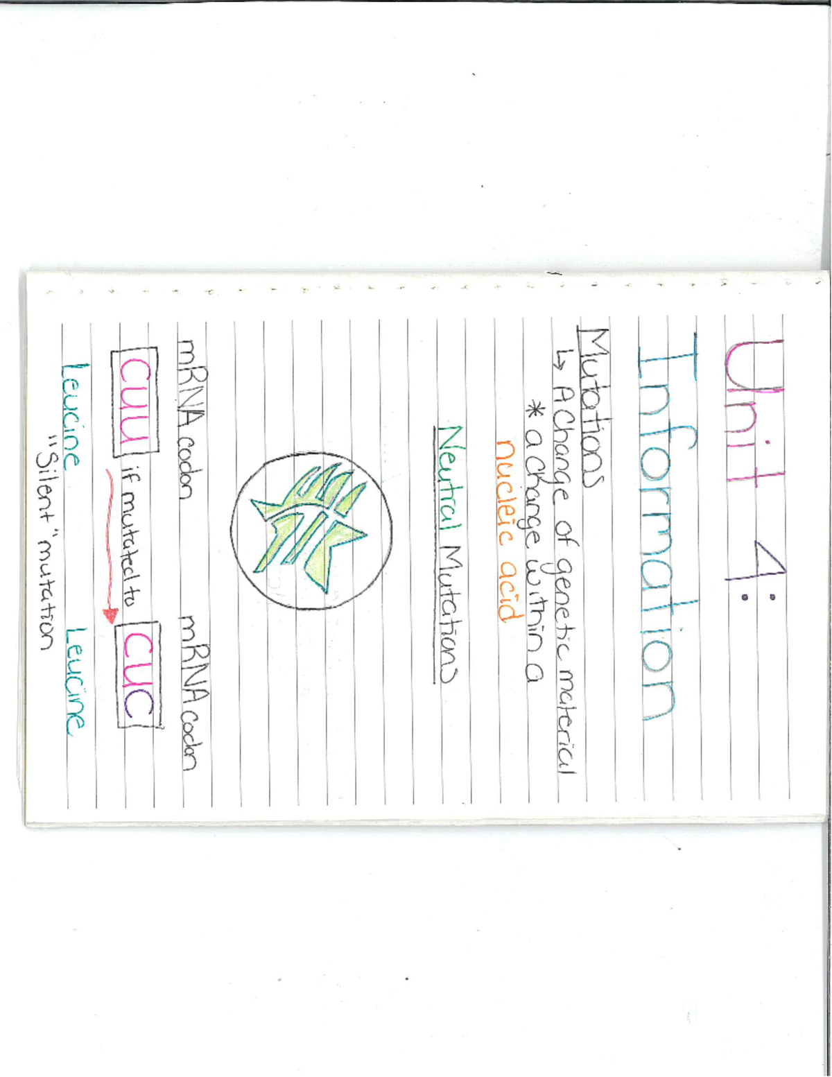 Unit 4 - Information CNB Mutation Notes - Studocu